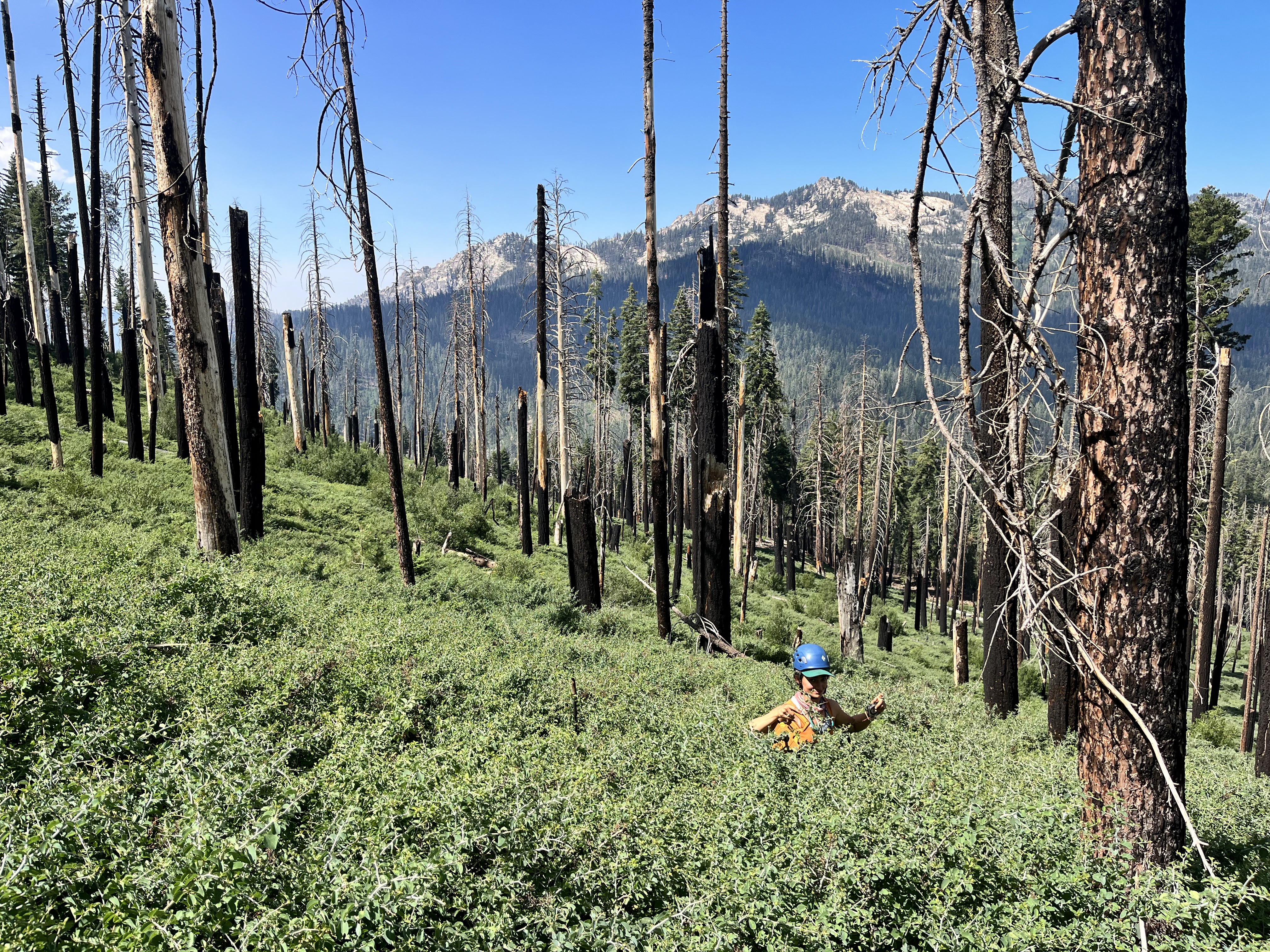 What's next, Dr. Broadman? | Postdoctoral Affairs